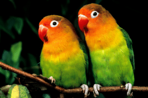 Cloud Essentials | IT Migration | IT Compliance | IT Security