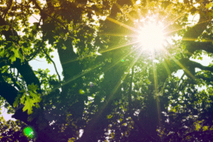 Cloud Essentials | IT Migration | IT Compliance | IT Security