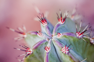 Cloud Essentials | IT Migration | IT Compliance | IT Security