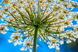 Cloud Essentials | IT Migration | IT Compliance | IT Security