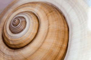 Cloud Essentials | IT Migration | IT Compliance | IT Security